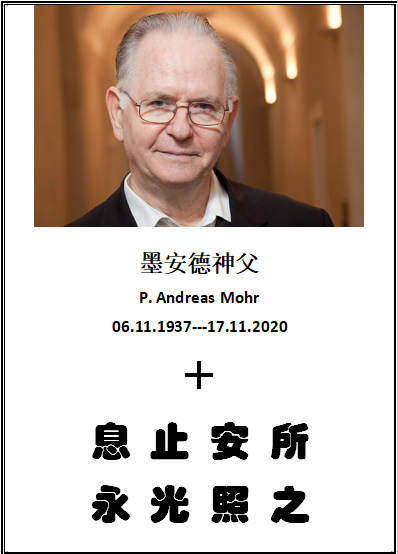 Chinesische Gemeinde in der Erzdiözese Wien 奥地利维也纳华人天主教会 | Erzdiözese Wien